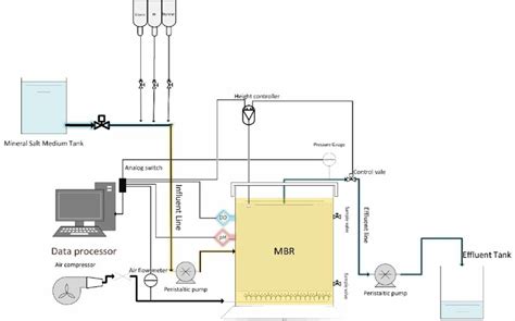 Schematic Of Lab Scale Experimental Setup Download Scientific Diagram
