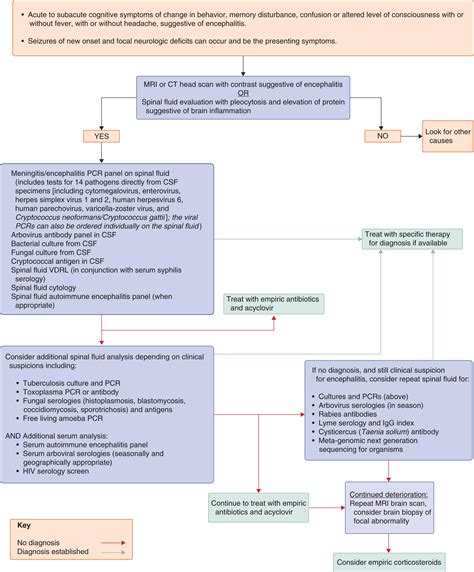 Encephalitis Clinical Tree