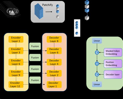 Multi Scale Fusion Masked Autoencoder For Enhanced Pretraining In 3d
