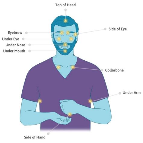 21 Effective Ways To Naturally Regulate Your Nervous System In 2024