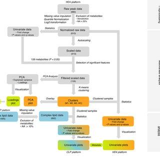 Explorative Data Analysis EDA Strategy In Data Preprocessing The Download Scientific