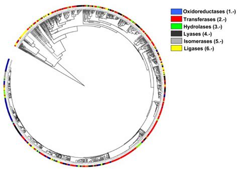 Hierarchical Clustering Of The Reaction Vectors The Tree Is