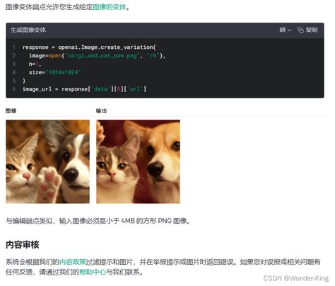 Openai图像生成开发文档openai Php 生成 图片 Csdn博客