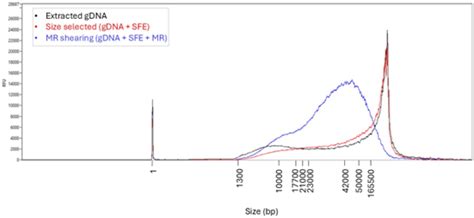 Chromatin Accessibility Know How Document