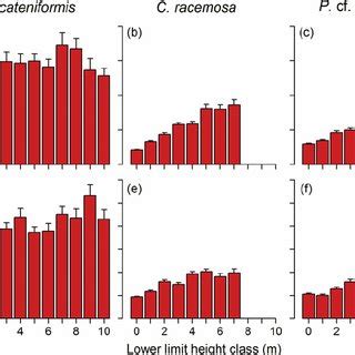 Relationship Between Diameter Growth And Height Growth Of Juvenile