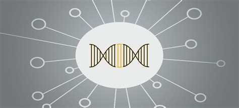 Genomics Core At Nyu Cgsb Providing Next Generation Sequencing And