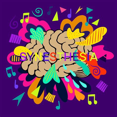 Synesthesia Brain Stock Illustrations 30 Synesthesia Brain Stock