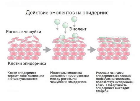 Питание при атопическом дерматите - Центр здоровья и красоты доктора ...