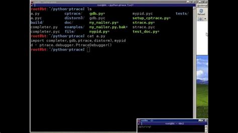 using python ptrace to catch signals youtube