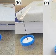 Presentation Of Sample Preparation Download Scientific Diagram