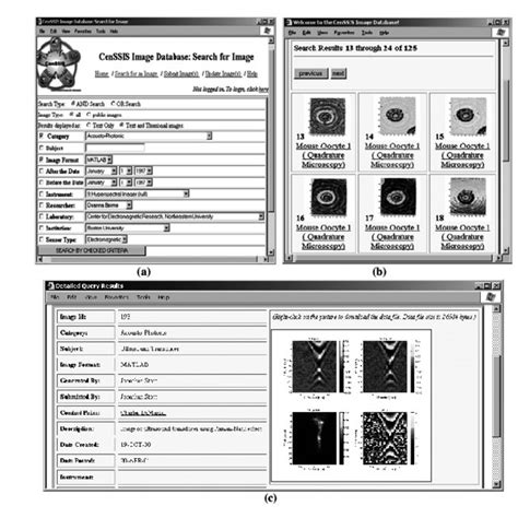 The Execution Of A Complex Query And Its Results A Query B Download Scientific Diagram