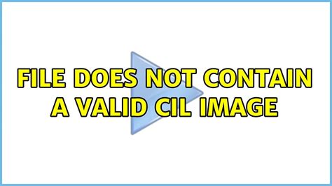 File Does Not Contain A Valid Cil Image Youtube