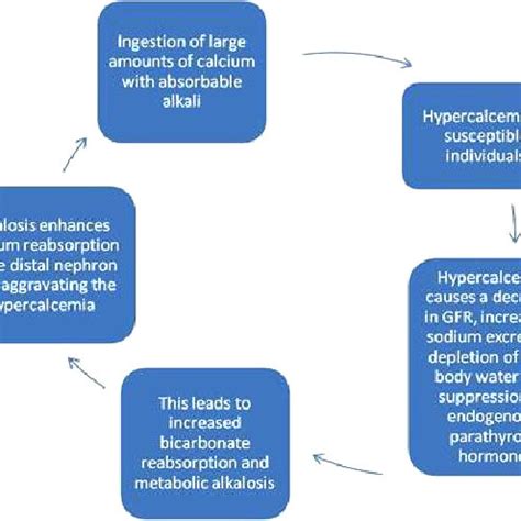 Pathogenesis Physiological Explanation For High Amounts Of Calcium Download Scientific Diagram