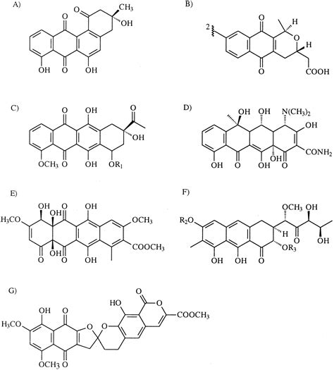 Molecular Evolution Of Aromatic Polyketides And Comparative Sequence Analysis Of Polyketide