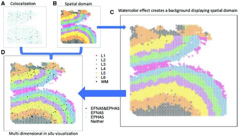 escher enables multidimensional spatial visualizations following the