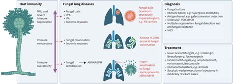 Fungal Lung Disease European Respiratory Society