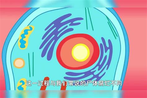 人死后的24小时，身体会经历什么？从科学的角度解释死亡 科学 经历 角度