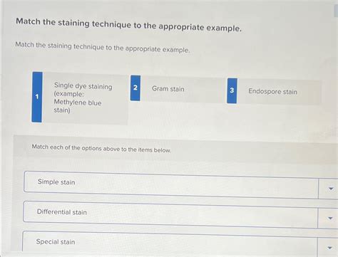 Solved Match The Staining Technique To The Appropriate