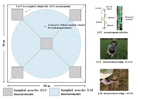 The Measurement Sketch Of The Synchronously Ground Lai And Lcc Truth