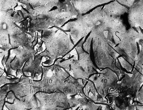 Types Of Cast Iron [explained With Material Composition] Pdf