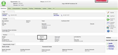 Additional Information In Entity Top Content Screens Sage Crm V72
