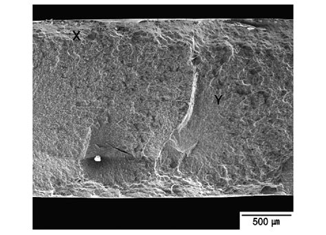 Analysis Of The Tensile Fracture Surface At The Middle Of The Sample Of Download Scientific