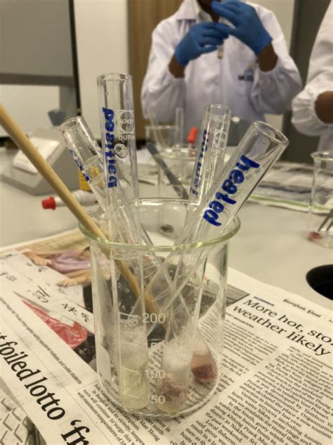 Liver Lab Eungs E Portfolios