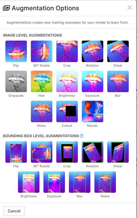 【maker 玩 ai】用 roboflow ultralytics hub 訓練與管理 yolo 模型 makerpro