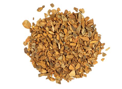 Sassafras Root Bark Sassafras Albidum Wild Crafted Fh Co