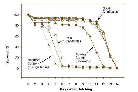 Screening Probiotic Bacteria For Atlantic Cod Larvae Responsible