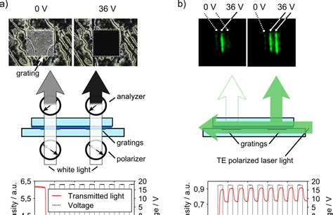 A Characterization Of The Sample In A Transmission Optical Microscope