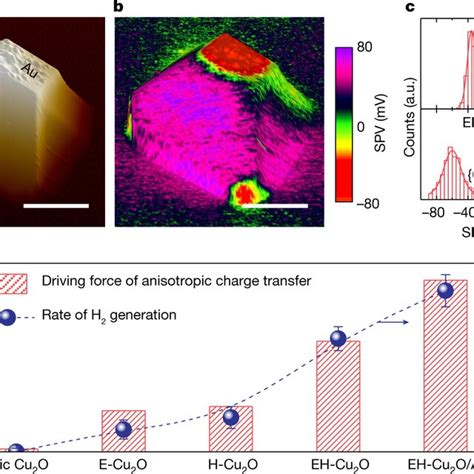 Selective Cocatalyst Loading And Photocatalytic Performance Ab Afm Download Scientific