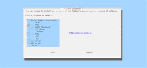 How To Install XFCE Desktop On Debian Linux CloudSpinx