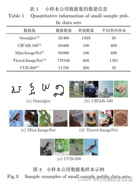 小样本学习图像分类整体架构（帮助确定切入点、研究方向及论文整体架构）基于正样本重构对比学习的小样本高光谱图像分类 Csdn博客