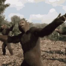 Gorilla Dance S Tenor