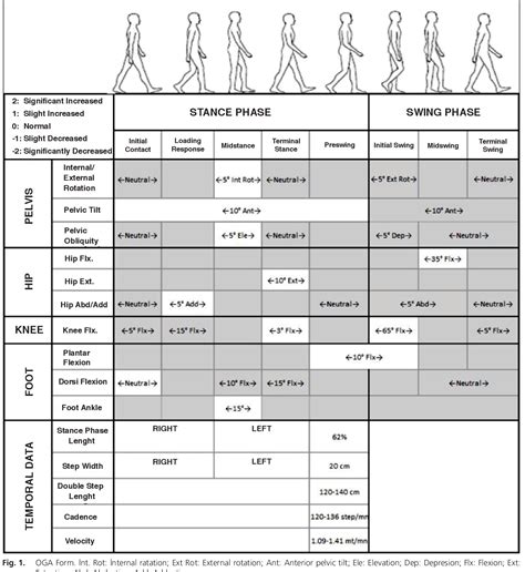 Gait Analysis Case Report At Justin Salgado Blog