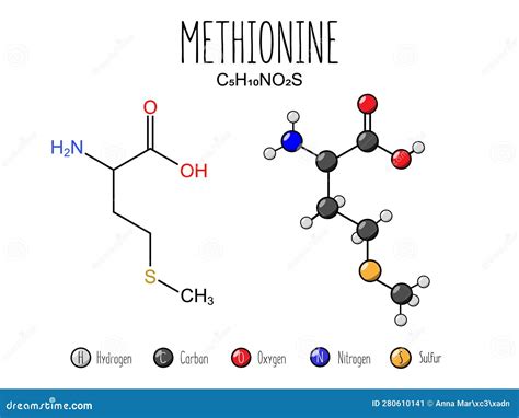 Amino Acid Structure Methionine At Ethan Fuhrman Blog