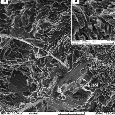 Fracture Surface In Alloy With 0150 Fe A Transcrystalline Ductile Download Scientific