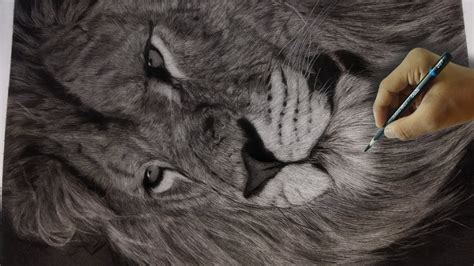 How To Draw Realistic Fur For Beginners With Charcoal Pencil YouTube