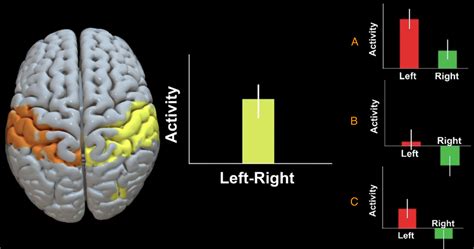Appendix D Other Statistical Scenarios Andy S Brain Book Documentation