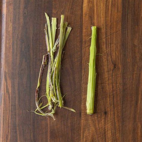 Foraging And Cooking Edible Thistles Forager Chef