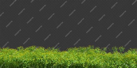 Premium Psd 3d Render Brush Tree Isolated On White