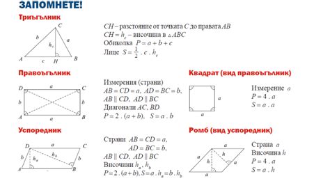 Геометрия 5 клас