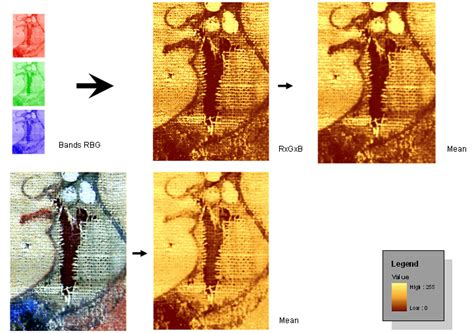 Comparison Between A Focal Function Applied To The Original Image Download Scientific Diagram