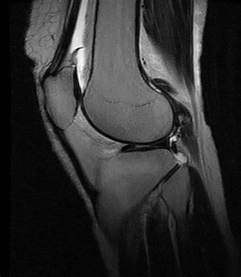 Data Exploration Through Medical Imaging Domain Knowledge