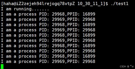 linux进程概念 详细版（一） ps ajx csdn博客