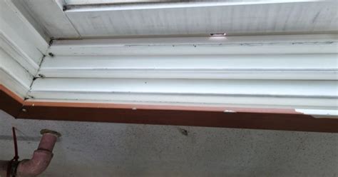 친절하게 잘 상담해주셨어요 사진도 계속 보내주시고 감사합니다ㅑ 숨고 숨은고수