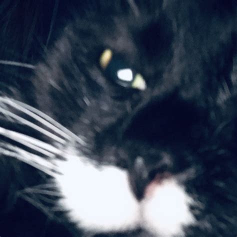 Avery Carter Youtube