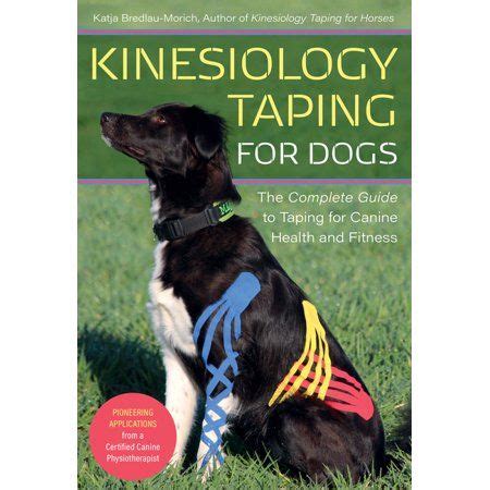 Kinesiology Taping On Animals Artofit