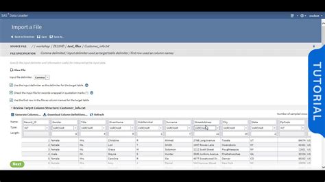 SAS Data Loader For Hadoop Importing Delimited Files Into Hadoop SAS Video Portal